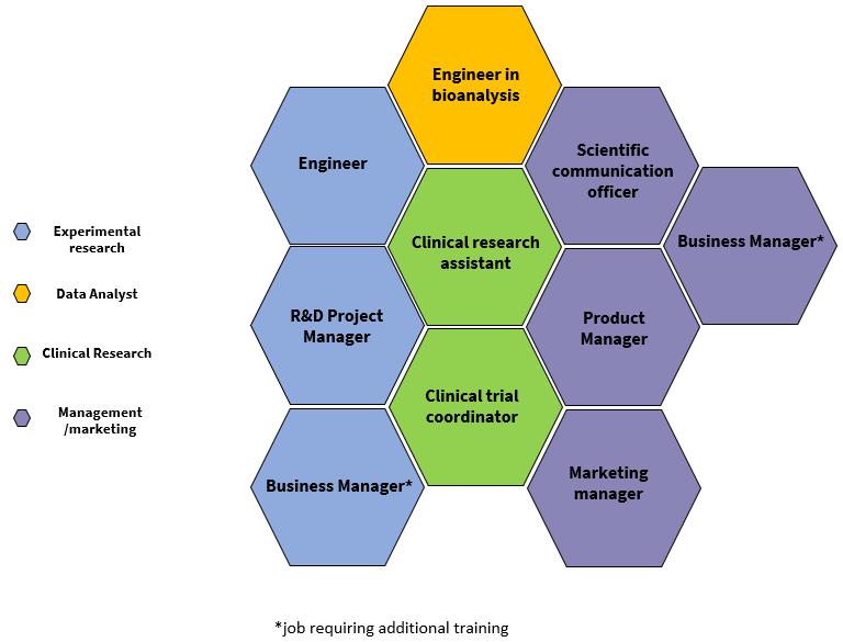 Graduate Programme I³ - Immunology and Immuno-intervention - Master's ...
