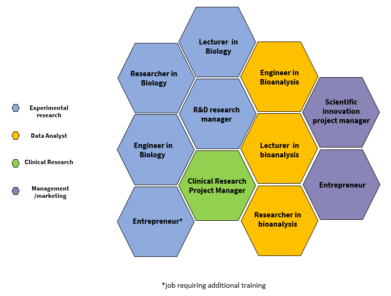 Graduate Programme I³ - Immunology and Immuno-intervention - Master's ...