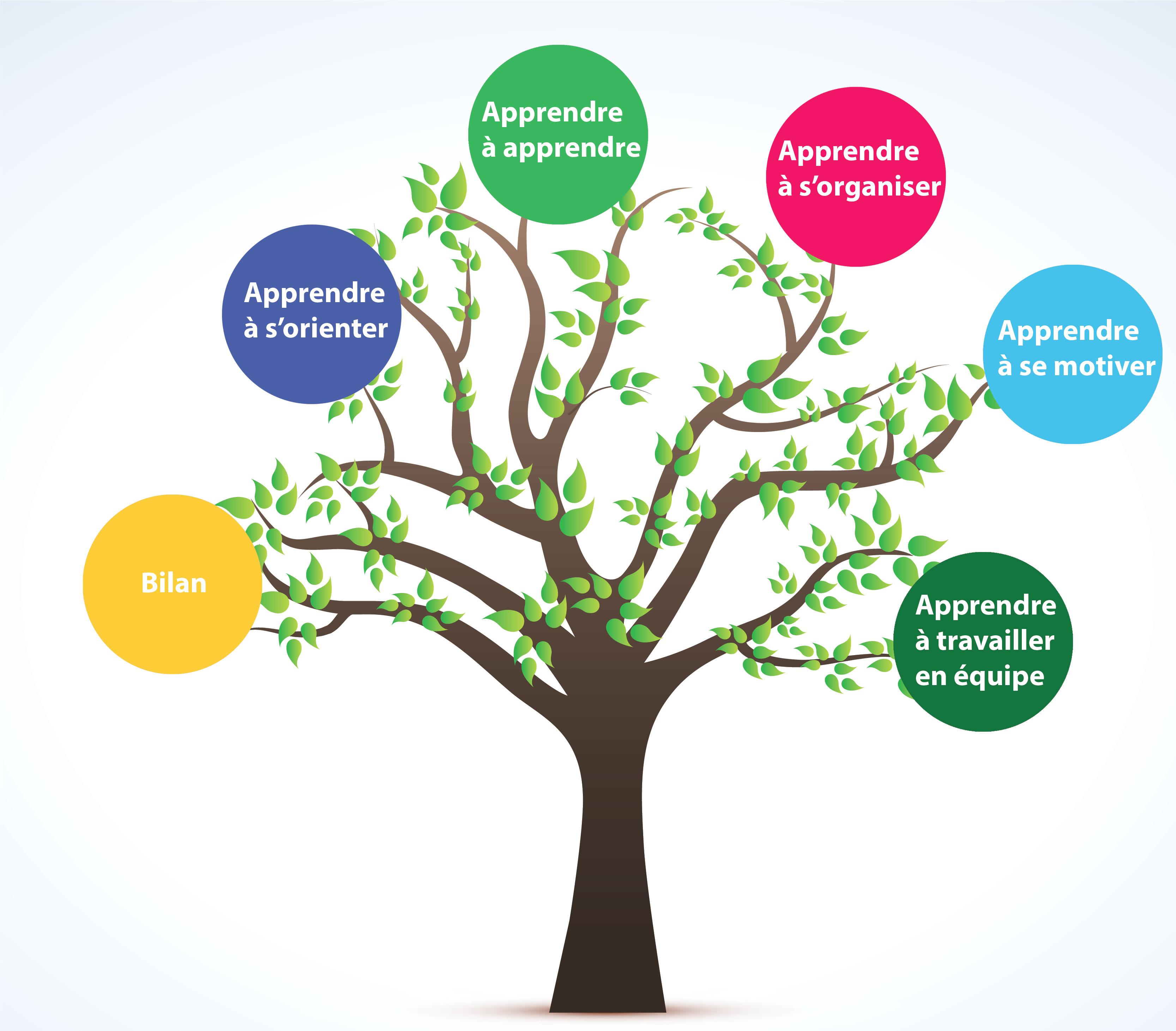 L'aide à la réussite étudiante - UFR Sciences et techniques